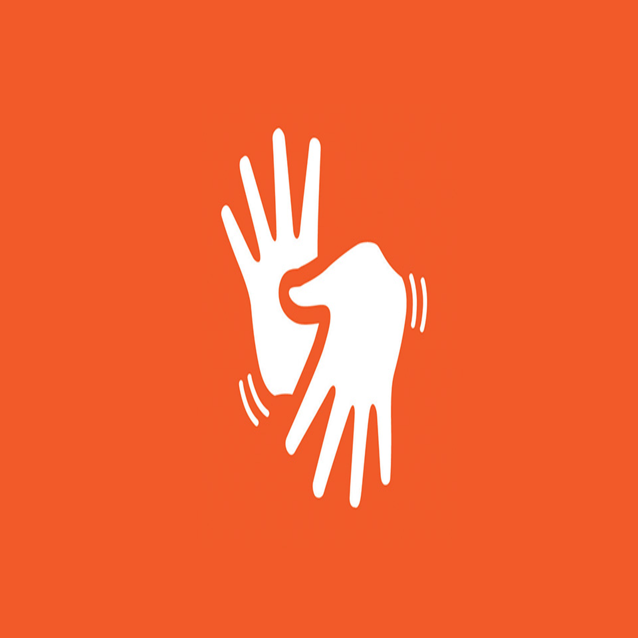 Sign Language: a rich but still largely unknown language - BBLTranslation